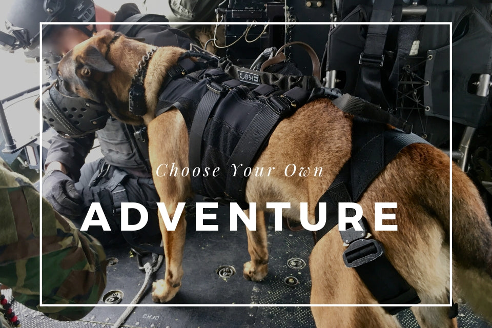 How to Choose The Best Working Dog Vest | Recon K9 – ReconK9