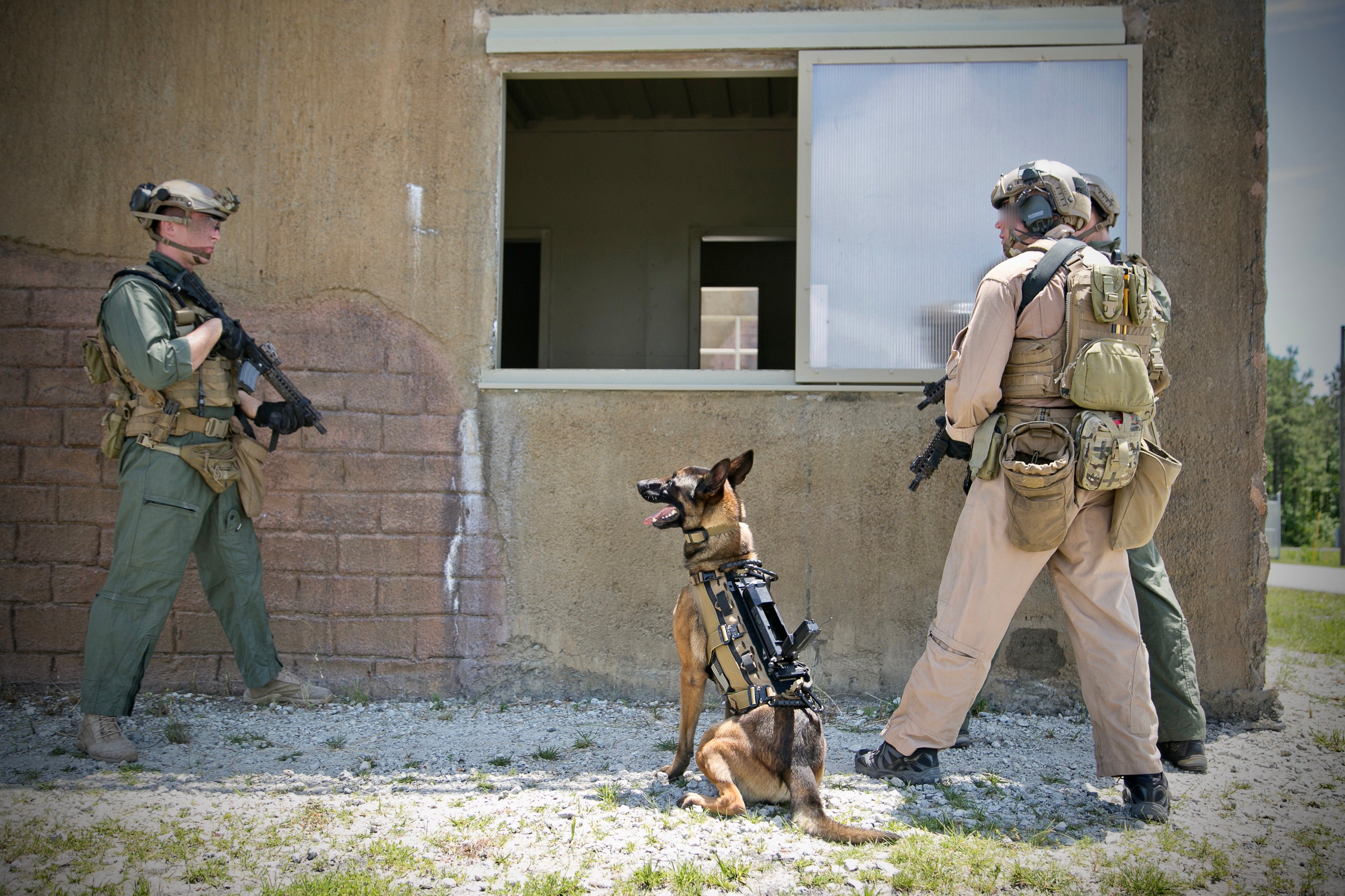 Tactical K9 Cameras- What you need to know – ReconK9