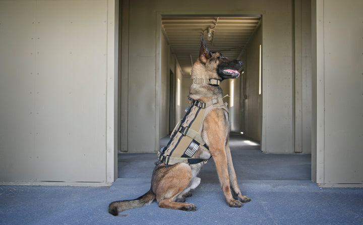 Recon K9 | Police And Military Dog Gear & Accessories – ReconK9