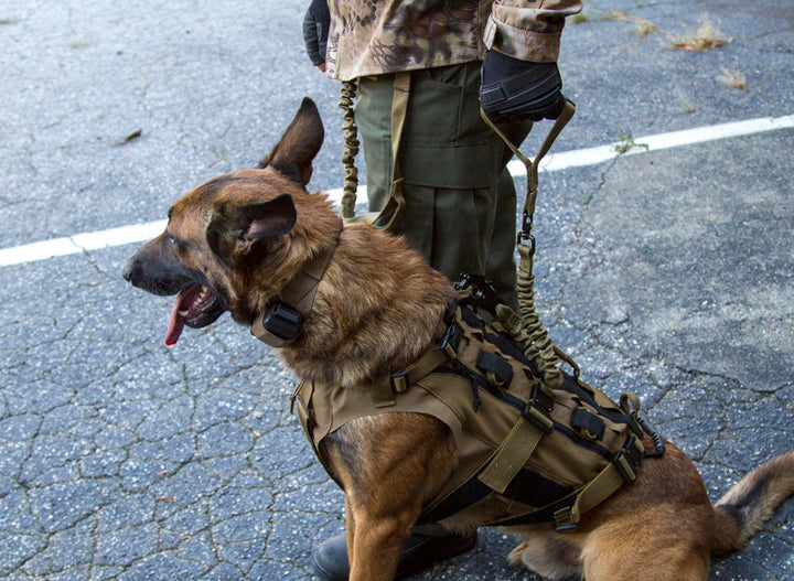 Recon K9 | Police And Military Dog Gear & Accessories – ReconK9